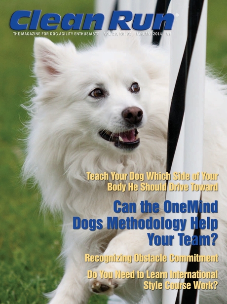 Clean Run - January 2014