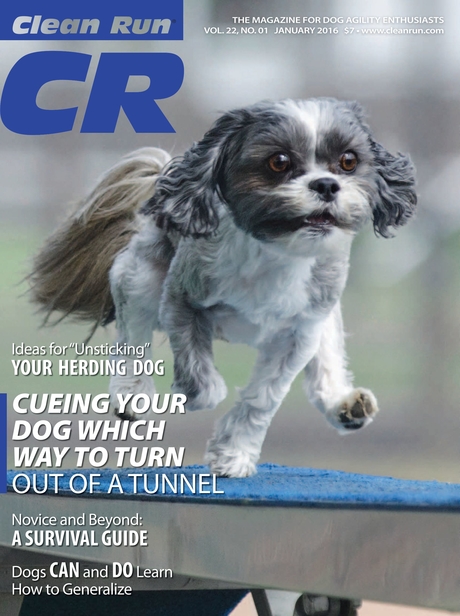 Clean Run - January 2016