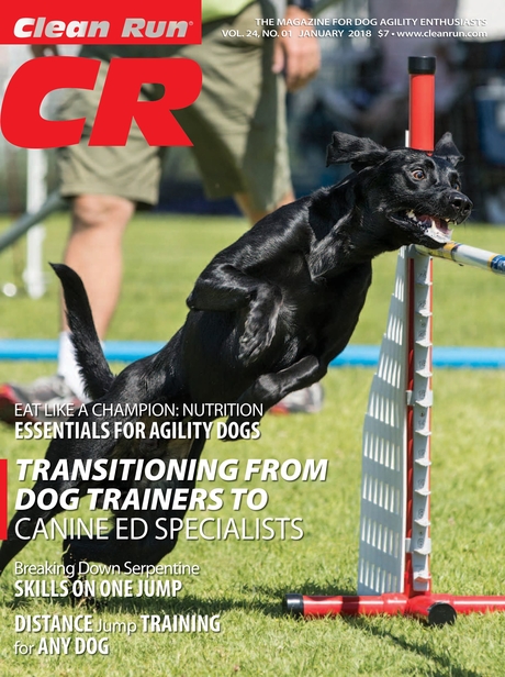 Clean Run - January 2018