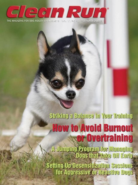 Clean Run - February 2011