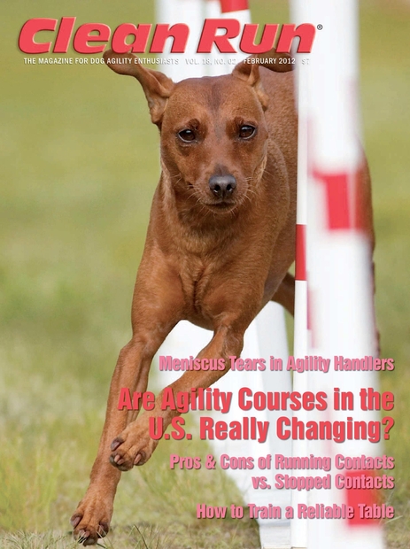 Clean Run - February 2012