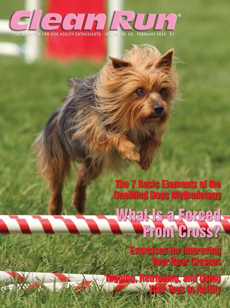 Clean Run - February 2014