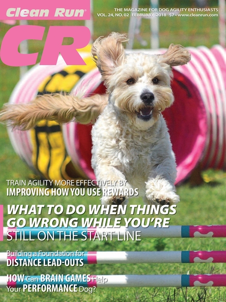 Clean Run - February 2018