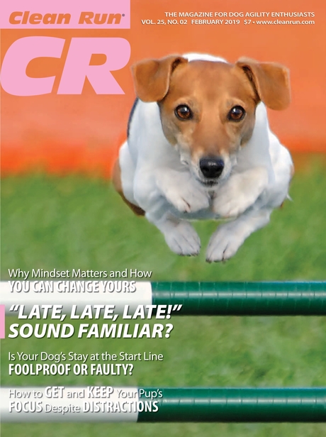 Clean Run - February 2019