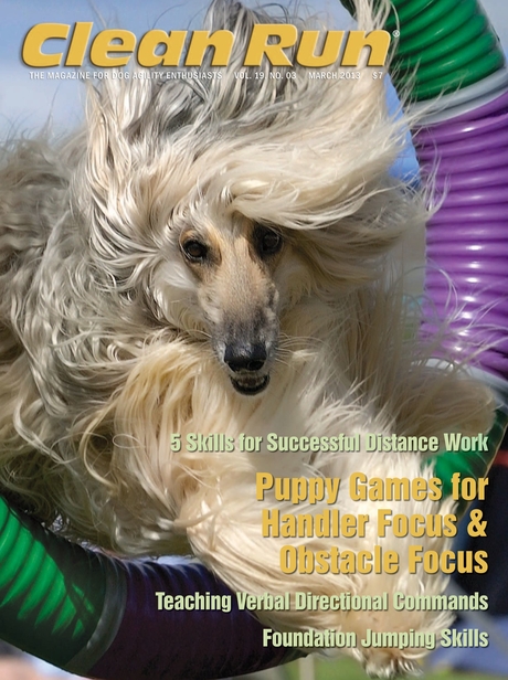 Clean Run - March 2013