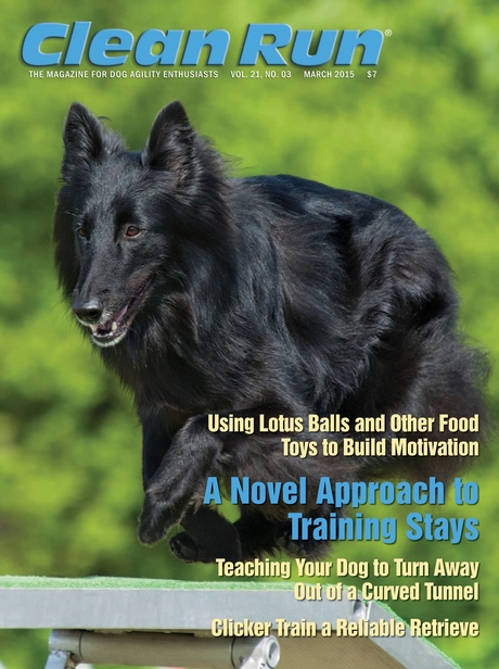 Clean Run - March 2015