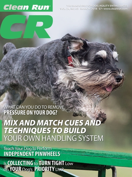 Clean Run - March 2018