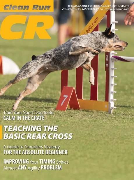 Clean Run - March 2019