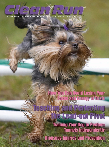 Clean Run - April 2013