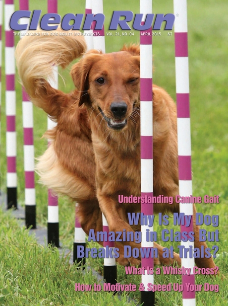 Clean Run - April 2015