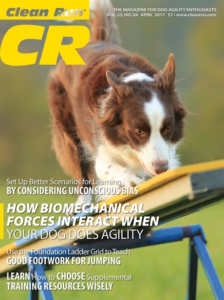 Clean Run - April 2017