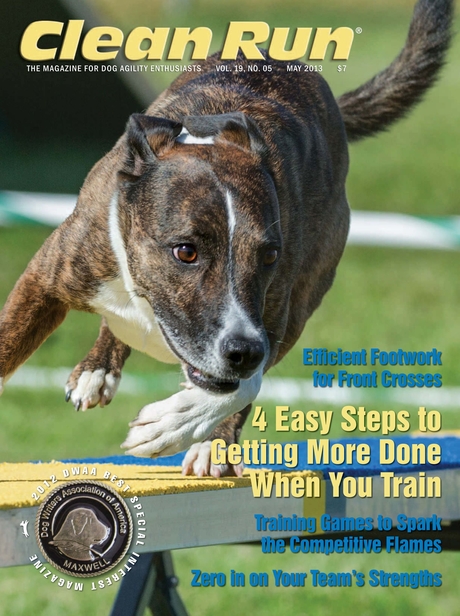 Clean Run - May 2013