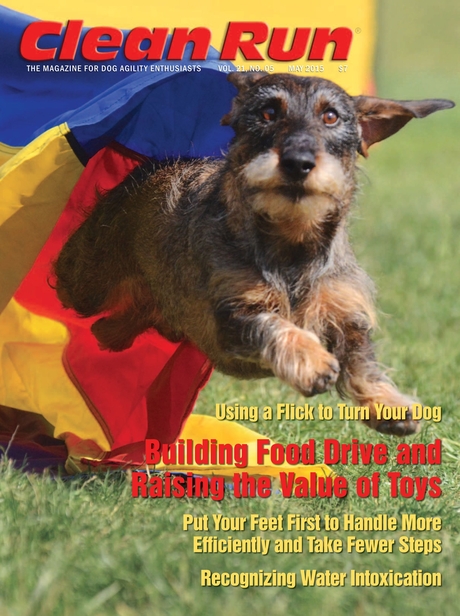 Clean Run - May 2015