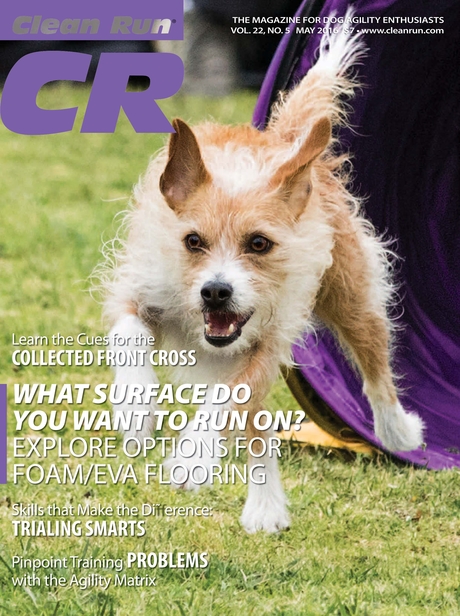 Clean Run - May 2016