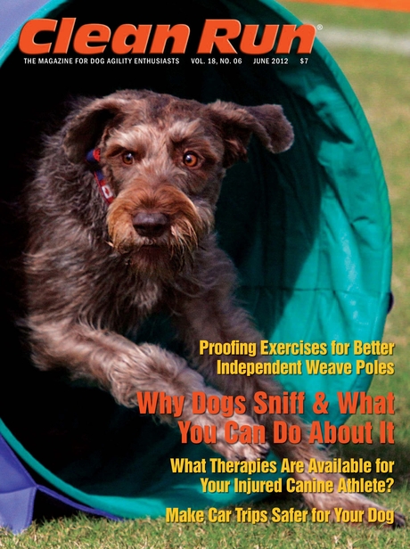 Clean Run - June 2012