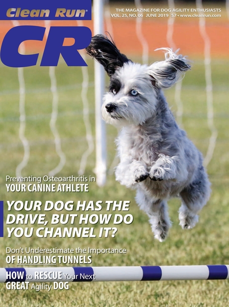 Clean Run - June 2019