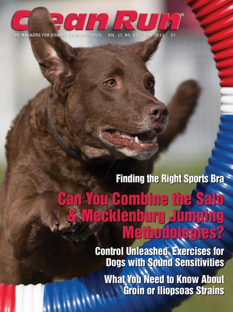 Clean Run - July 2011