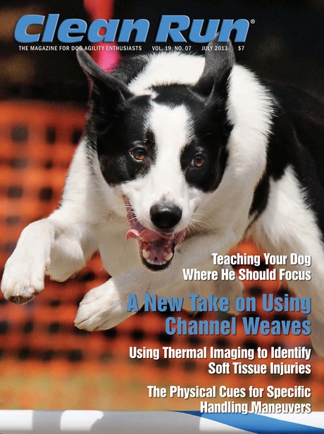 Clean Run - July 2013