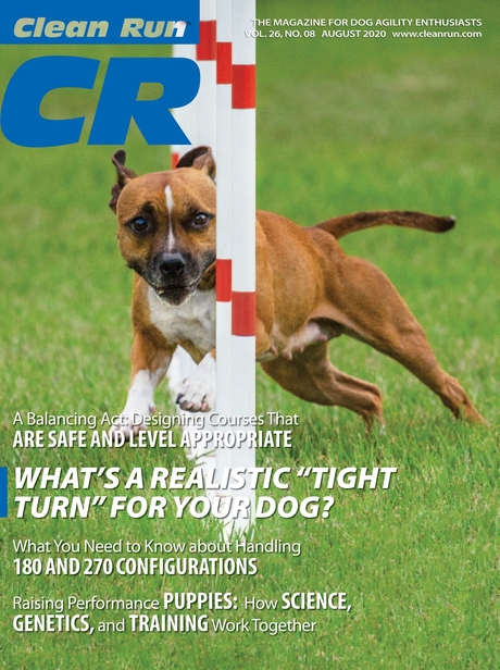 Clean Run - August 2020