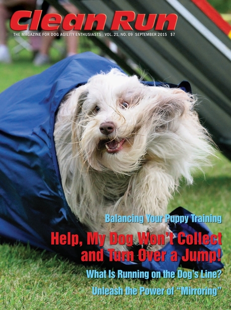 Clean Run - September 2015