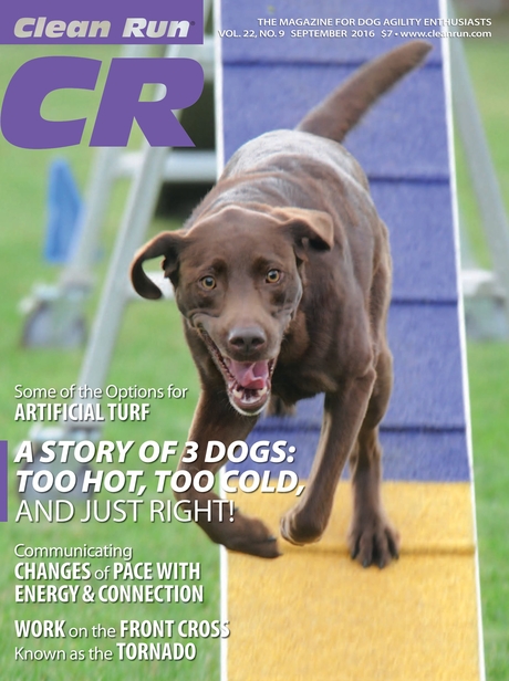 Clean Run - September 2016