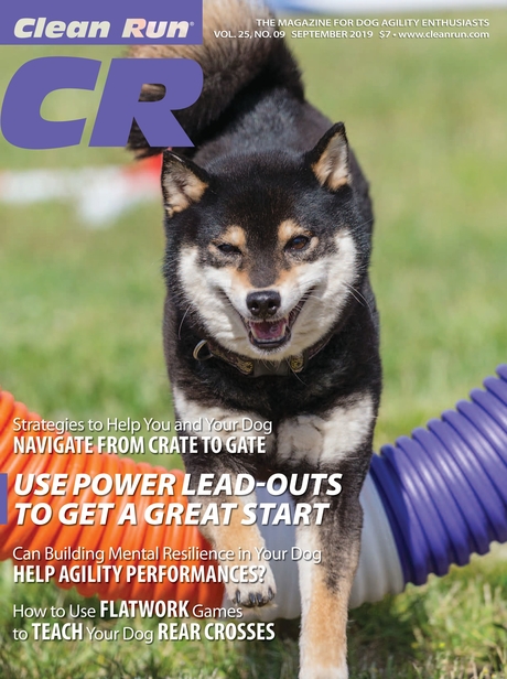 Clean Run - September 2019