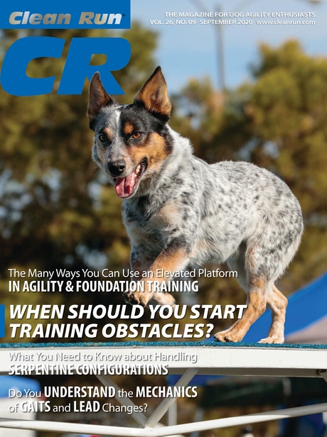 Clean Run - September 2020