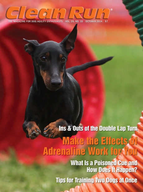 Clean Run - October 2014