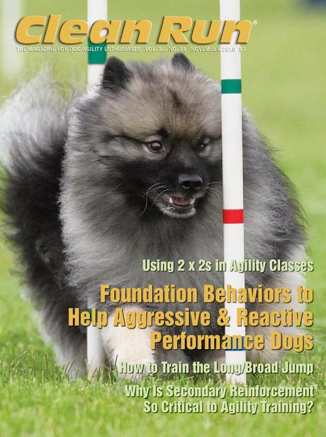 Clean Run - November 2010