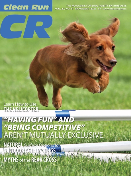 Clean Run - November 2016