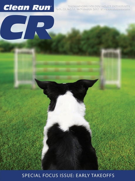 Clean Run - November 2017