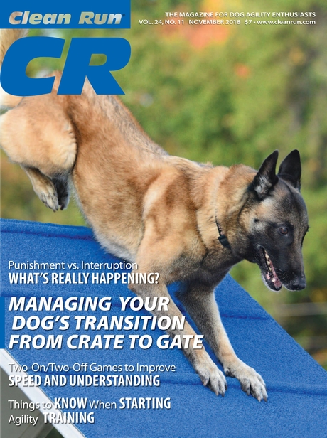 Clean Run - November 2018