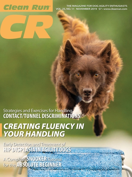 Clean Run - November 2019