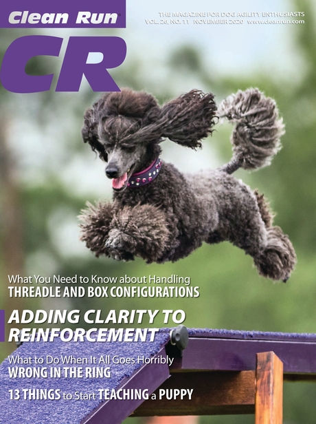 Clean Run - November 2020