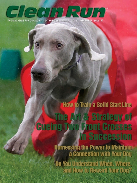 Clean Run - December 2011