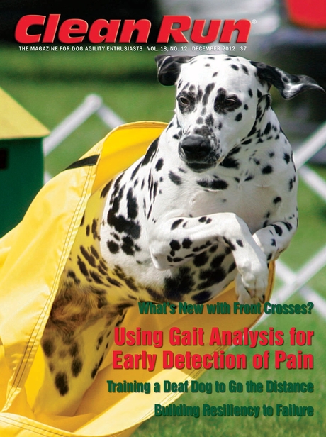 Clean Run - December 2012