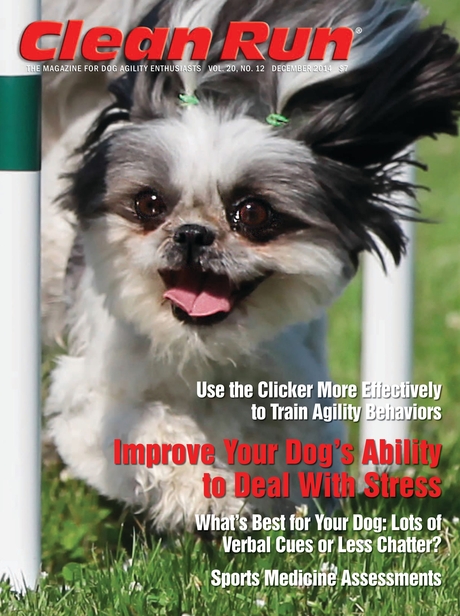 Clean Run - December 2014