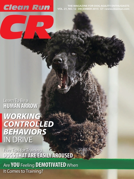 Clean Run - December 2015