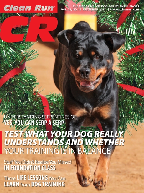 Clean Run - December 2017