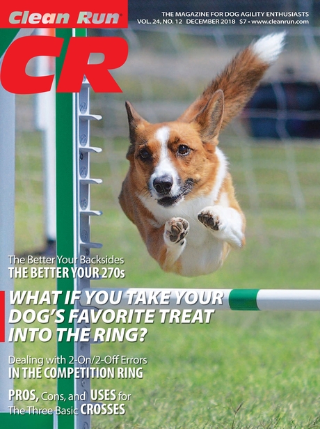 Clean Run - December 2018