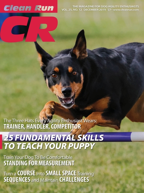 Clean Run - December 2019