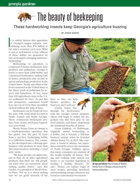 Georgia Magazine - September 2013 - Georgia Gardens