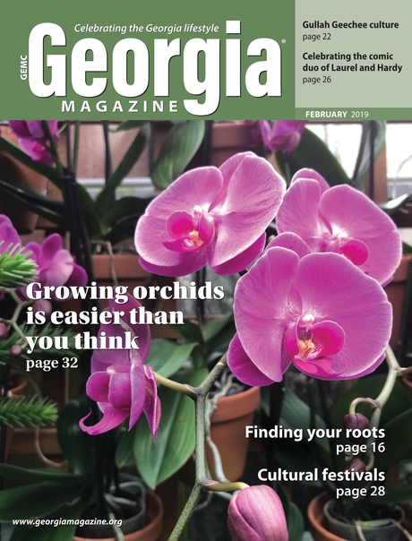 Georgia Magazine - February 2019