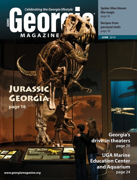 Georgia Magazine - June 2019