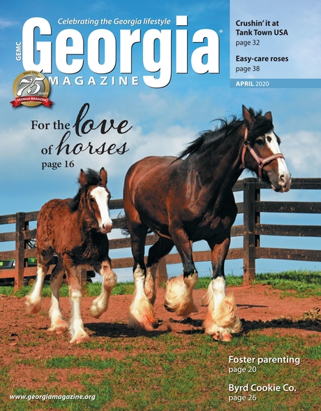 Georgia Magazine - April 2020