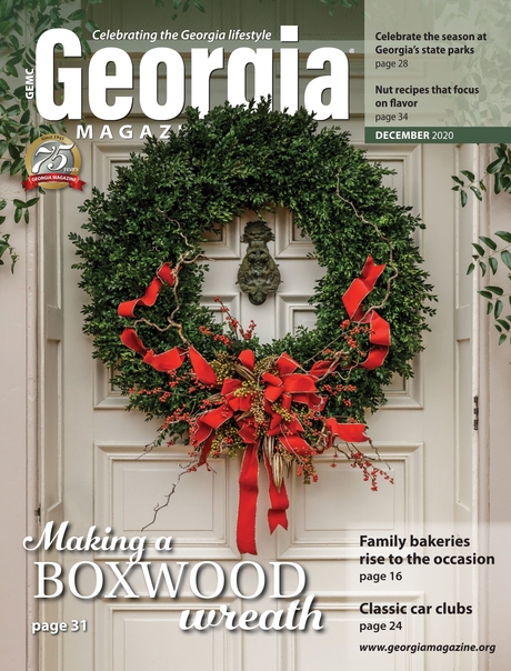 Georgia Magazine - December 2020