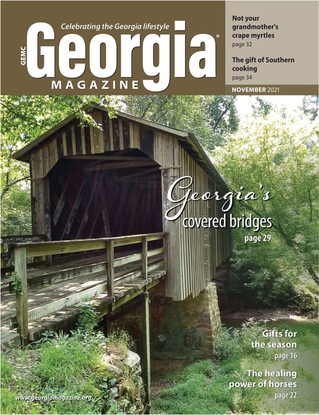 Georgia Magazine - November 2021