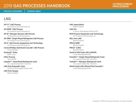 Gas Processes Handbook - 13