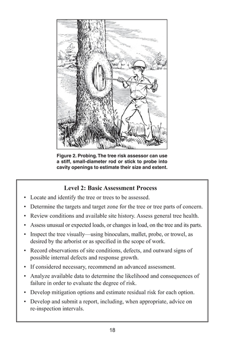 BMP - Tree Risk Assessment - 18