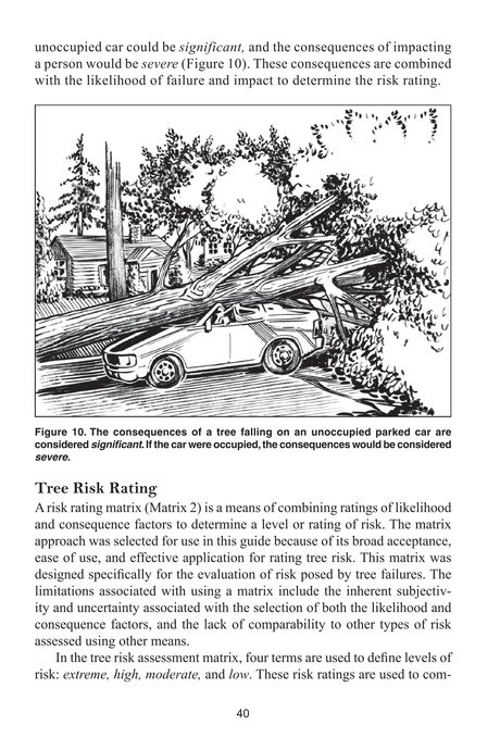 BMP - Tree Risk Assessment - 40